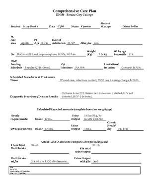 Care Plan 2 - Care plan 2 - Comprehensive Care Plan RN 56 Fresno City ...
