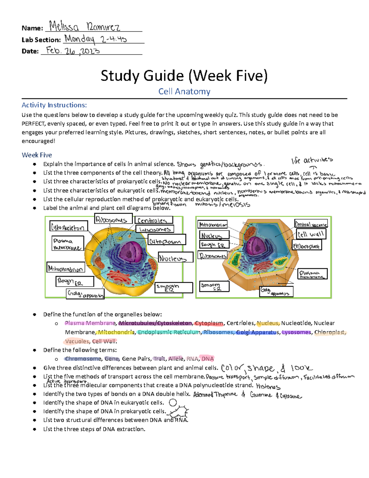 Study Guide (Week Five) 230226 190928 - Name ...