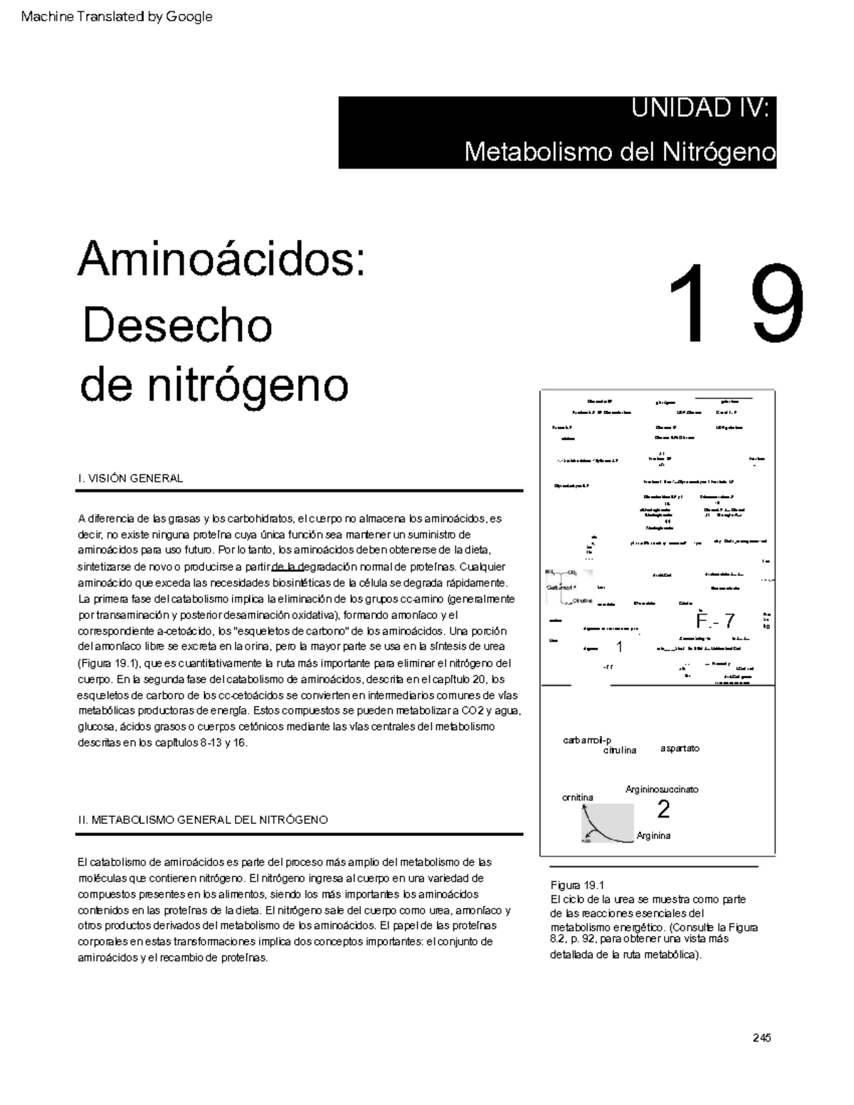 Pag 245-250 digestión proteinas cap 19 Harvey Ferrier 2011 124323 4 - 1 ...