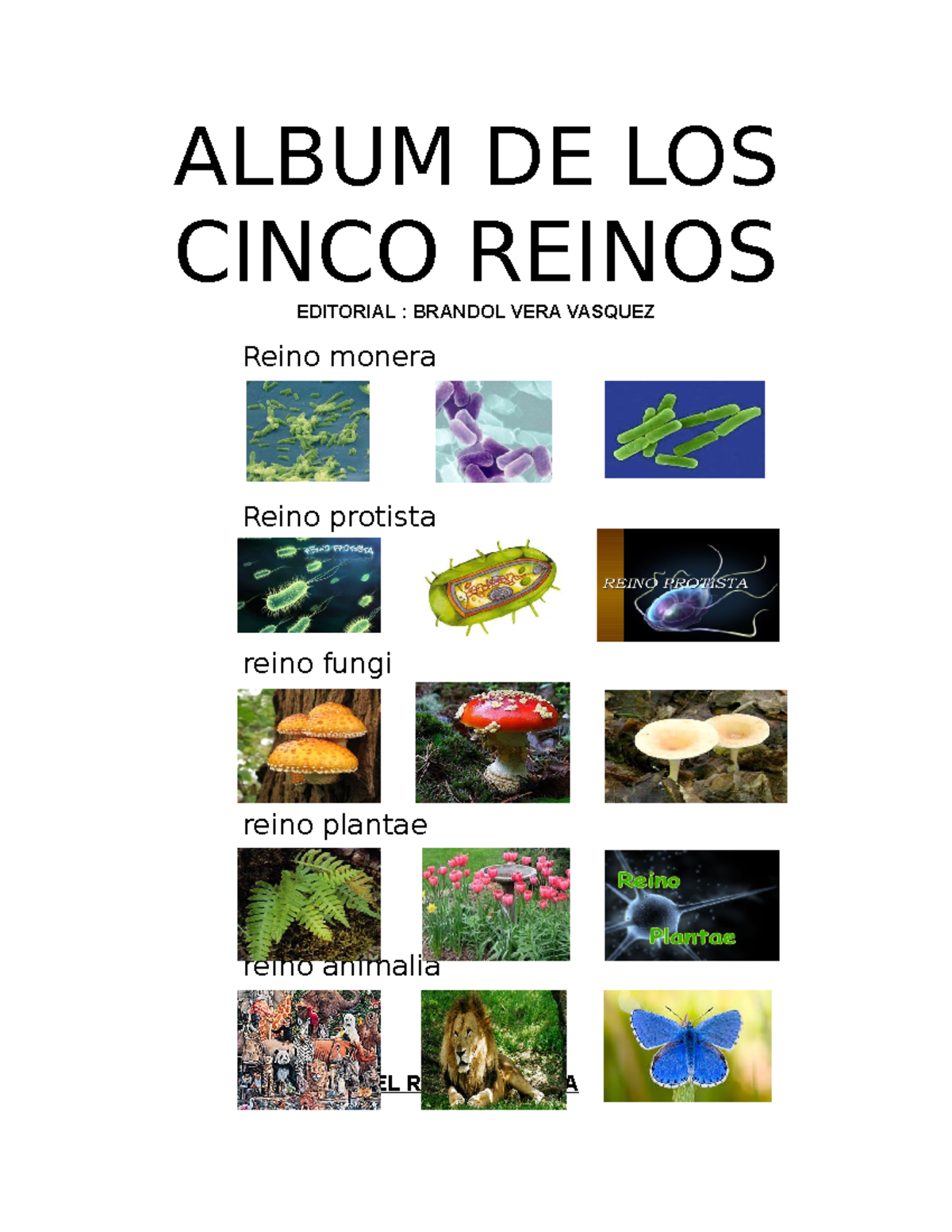 Dokumen - Feliz - ALBUM DE LOS CINCO REINOS EDITORIAL : BRANDOL VERA ...