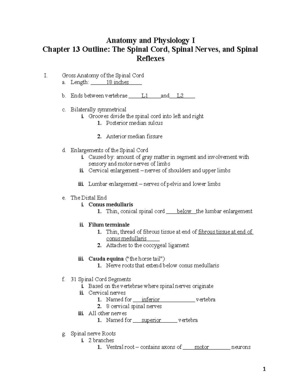 Ch 13 - notes - Anatomy and Physiology I Chapter 13 Outline: The Spinal ...