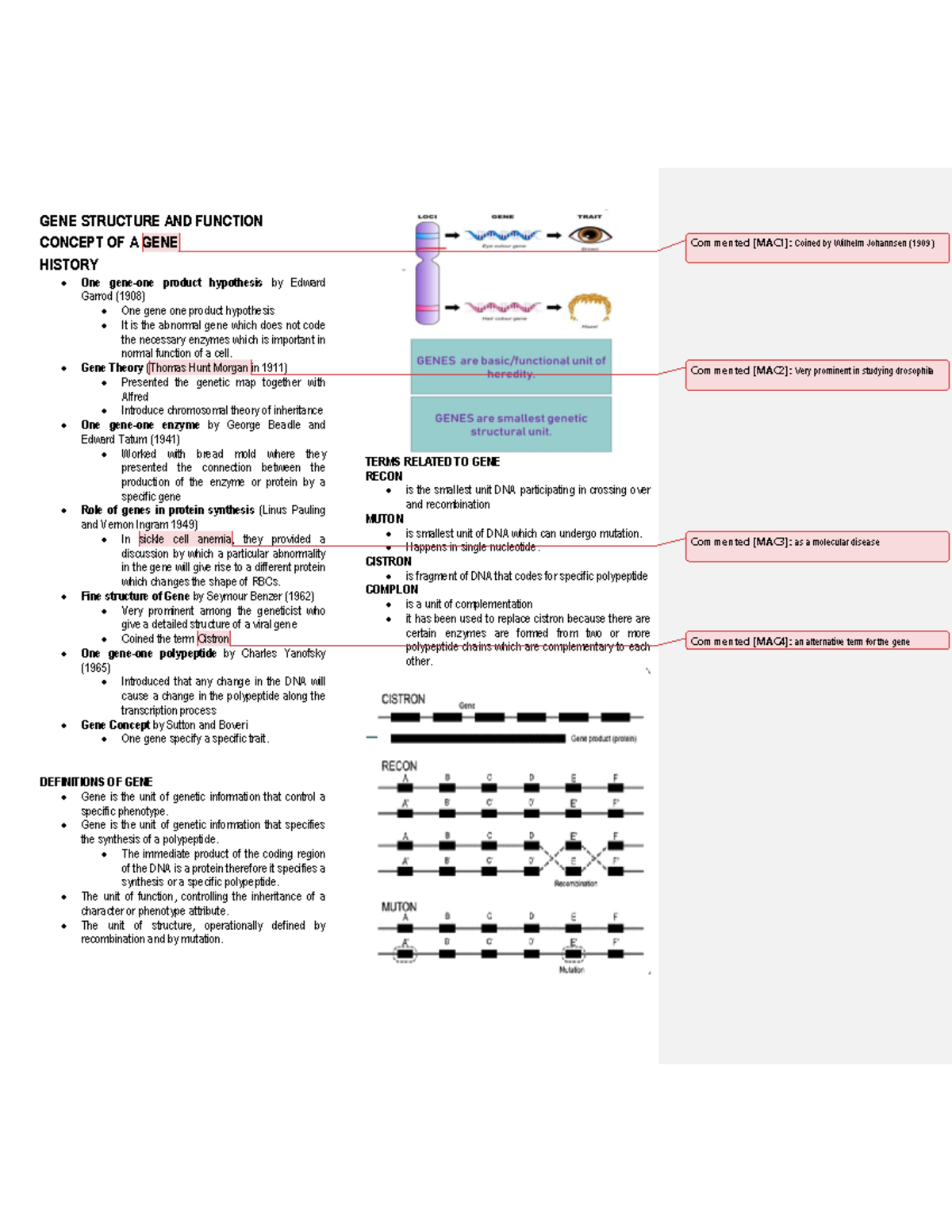Gene Structure and Function - GENE STRUCTURE AND FUNCTION CONCEPT OF A ...