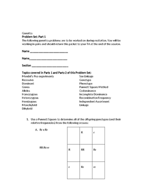 DNA-Profiling-Activity - DNA Profiling Using STRs DNA PROFILING USING ...