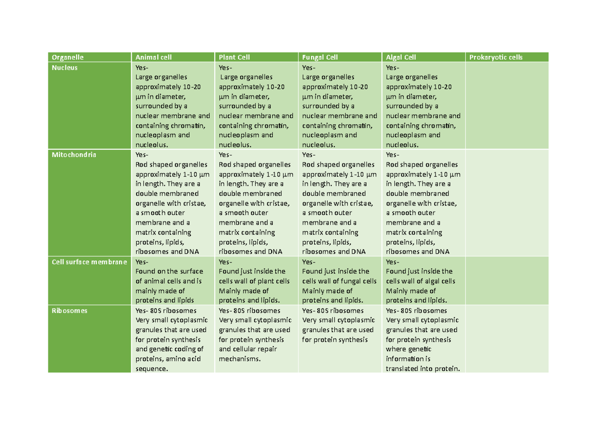 Organelle comparison table - Organelle Animal cell Plant Cell Fungal ...