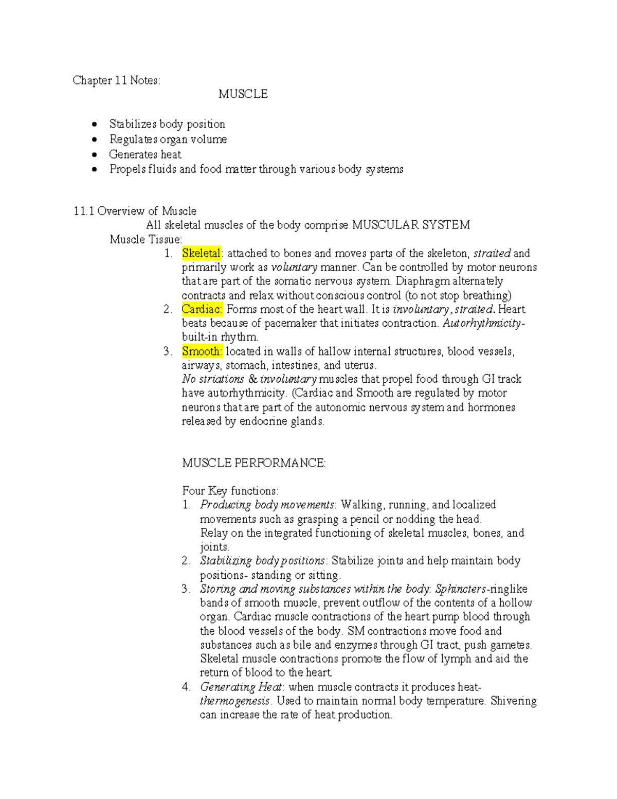 Chapter 11 Notes - Human anatomy muscle - Chapter 11 Notes: MUSCLE ...