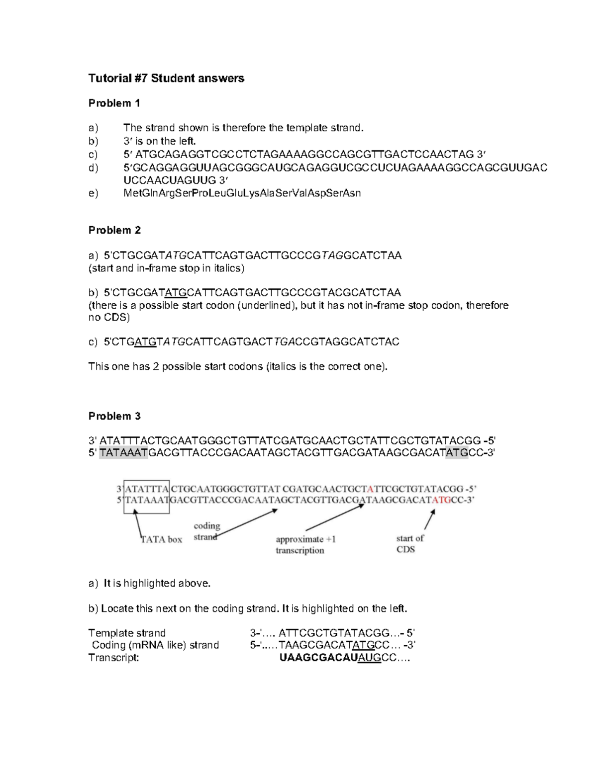 Tutorial 7 answers - Tutorial #7 Student answers Problem 1 a) The strand shown is therefore the ...