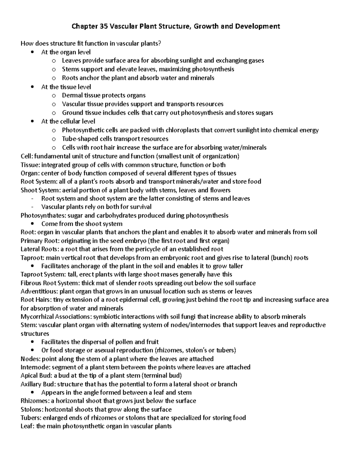 Chapter 35 Vascular Plant Structure - Chapter 35 Vascular Plant ...