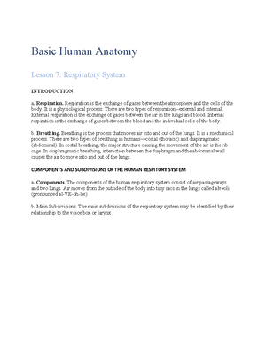 Basic Human Anatomy 8 - Basic Human Anatomy Lesson 8: Urogenital System ...