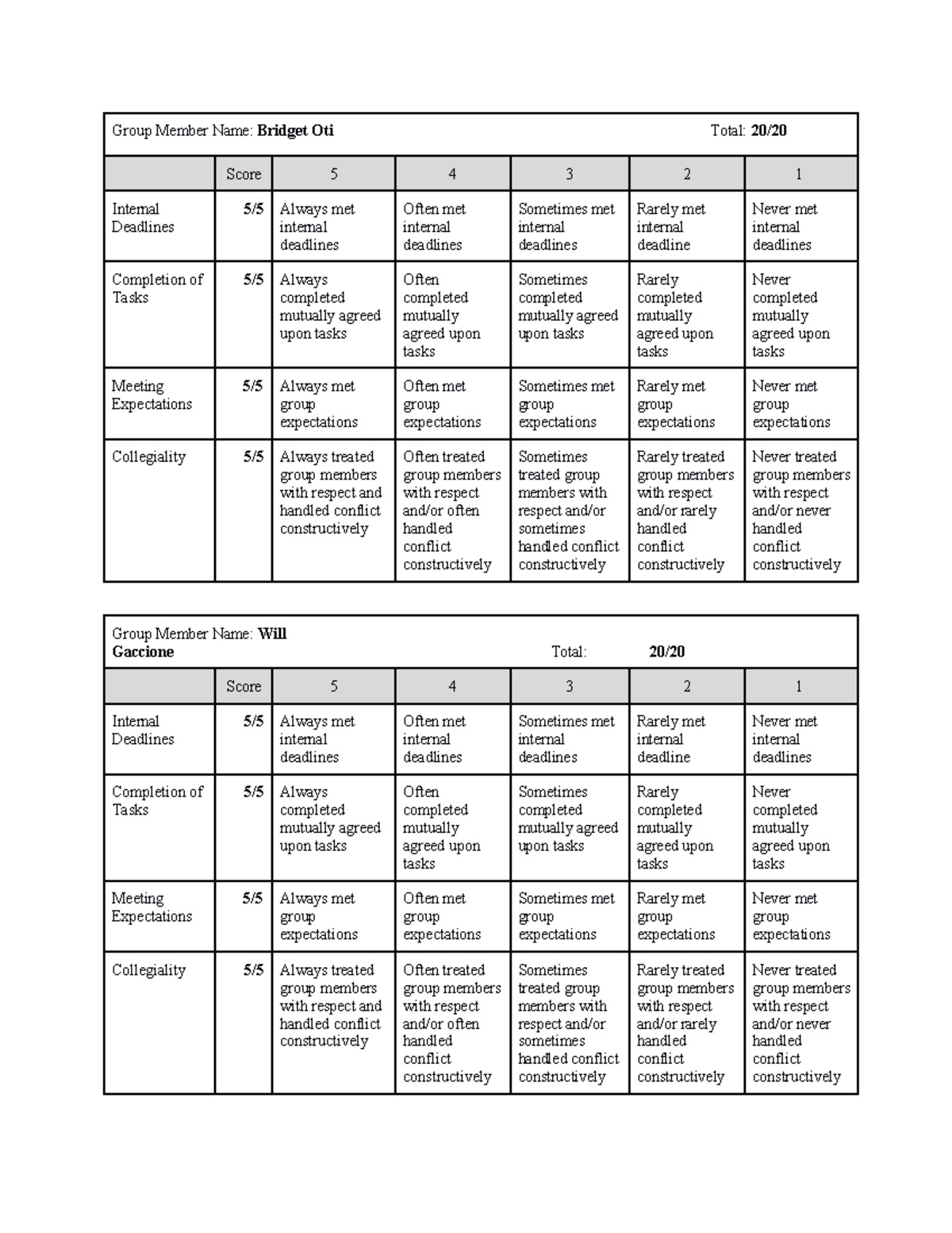 COMM107 Small Group Peer Evaluation - Group Member Name: Bridget Oti ...