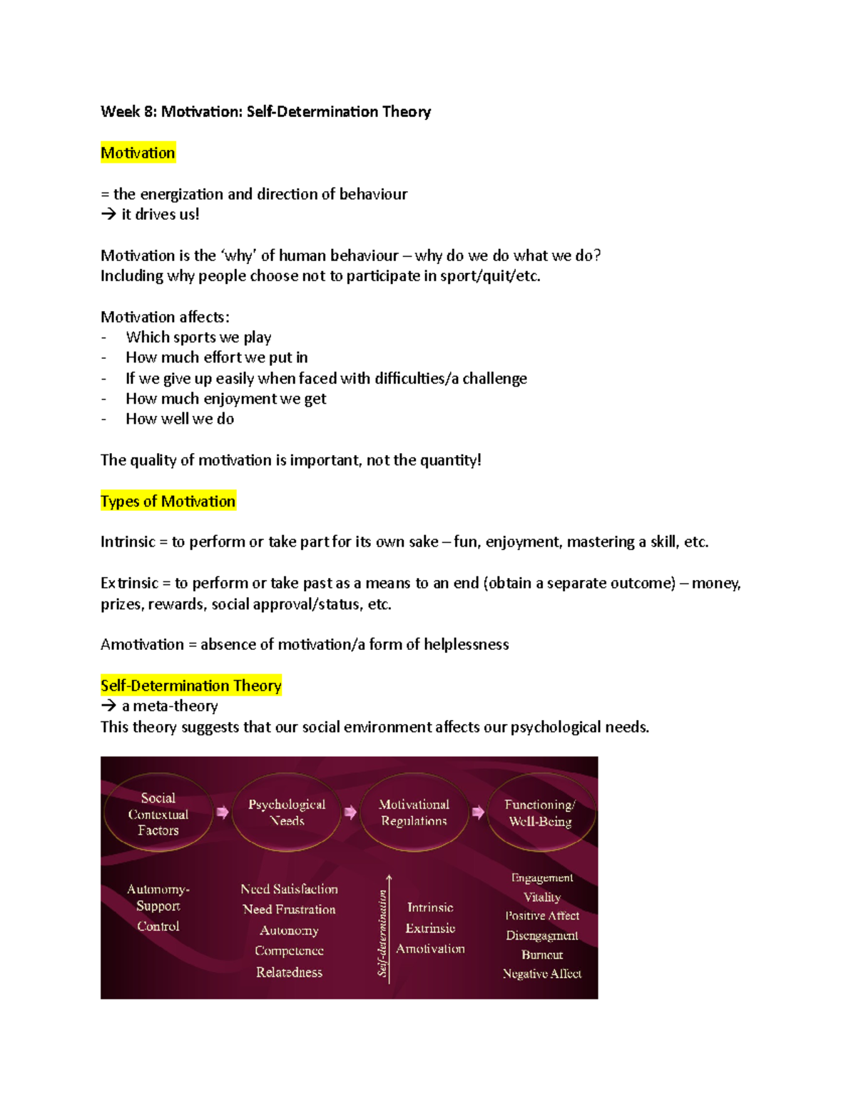 Psychology 6 - Lecture notes 6 - Week 8: Motivation: Self-Determination ...