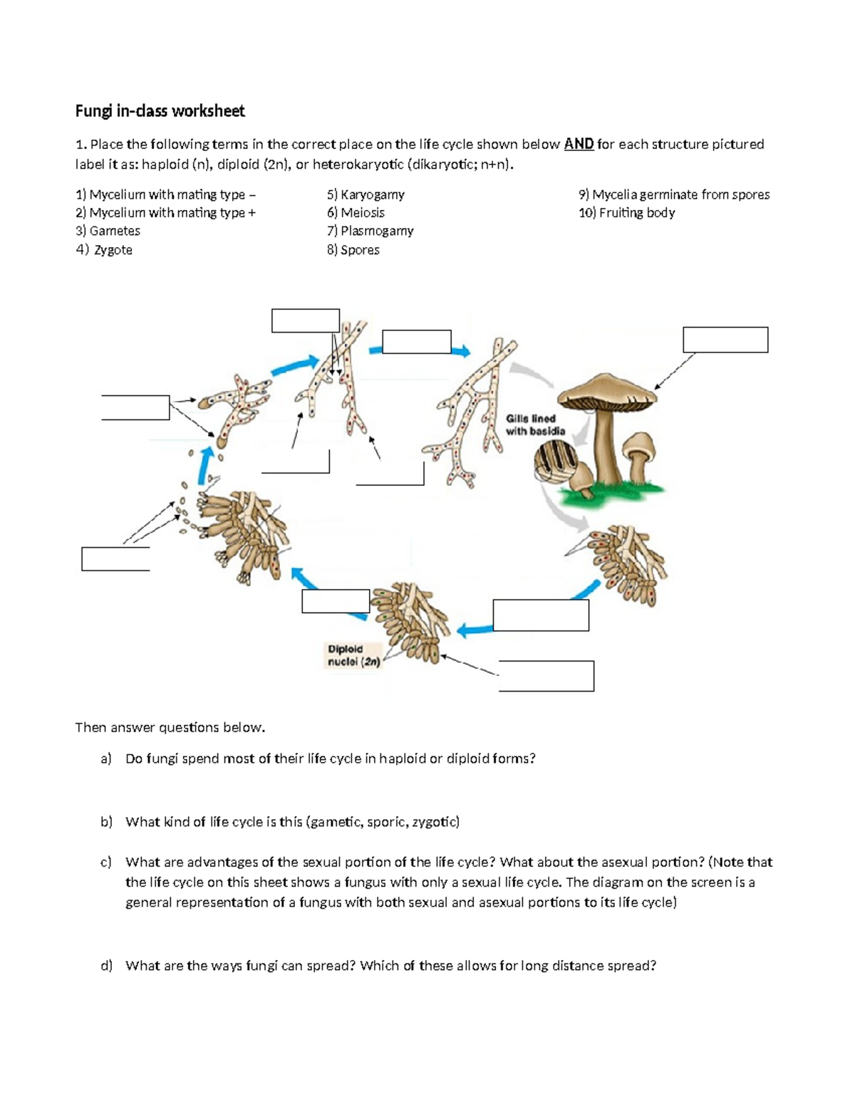 31 Fungi Worksheet - Notes - Fungi in-class worksheet 1. Place the ...