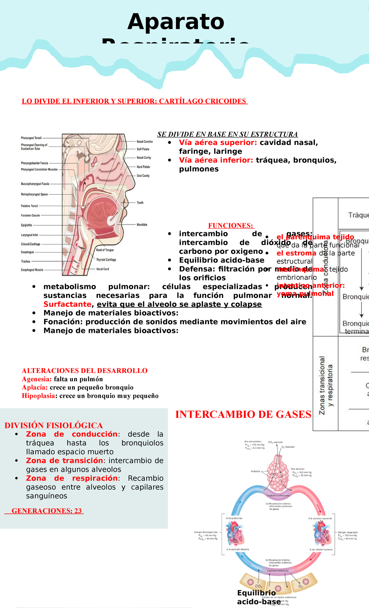 LO Divide EL Inferior Y Superior - LO DIVIDE EL INFERIOR Y SUPERIOR ...
