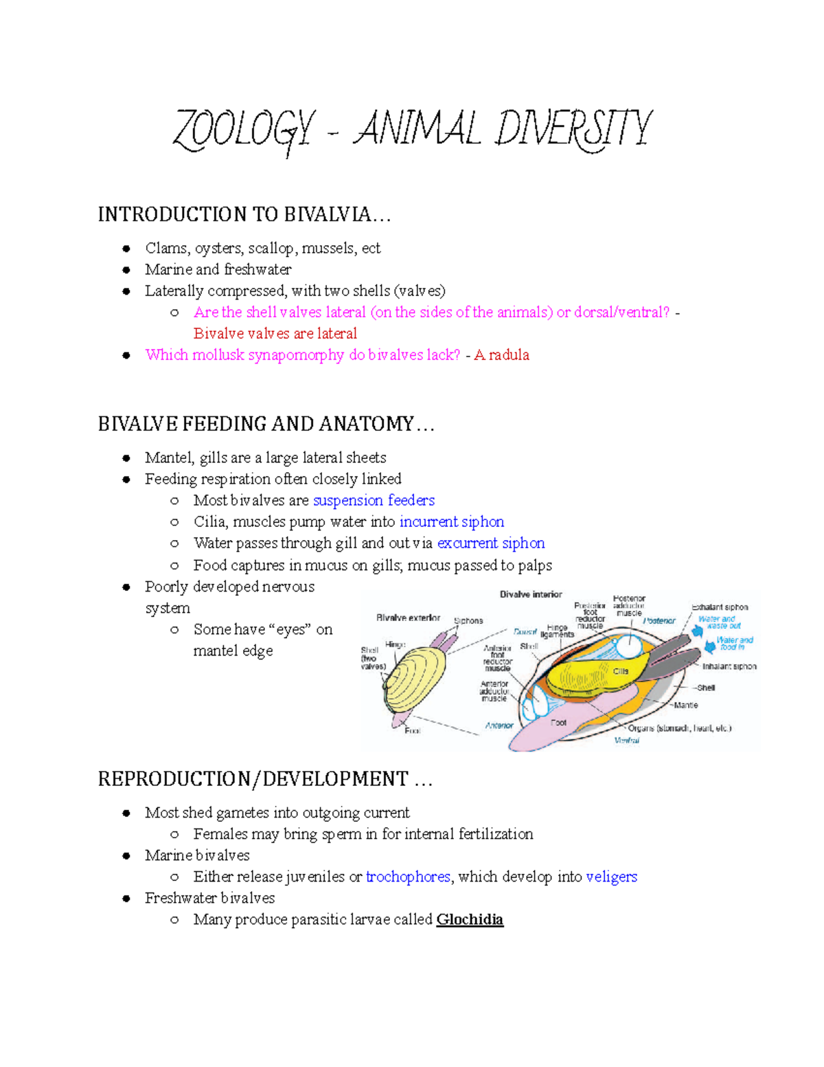 Zoology Notes part 12 - ZOOLOGY - ANIMAL DIVERSITY INTRODUCTION TO ...