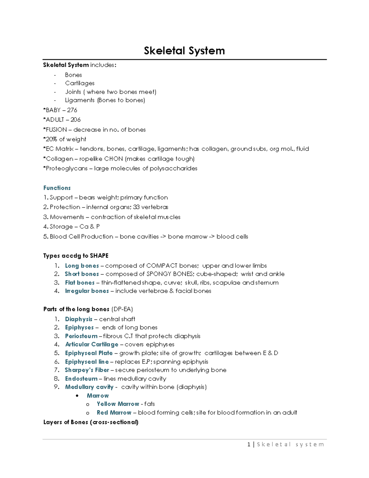 Skeletal System lecture notes from Seeley's Anatomy and Physiology ...