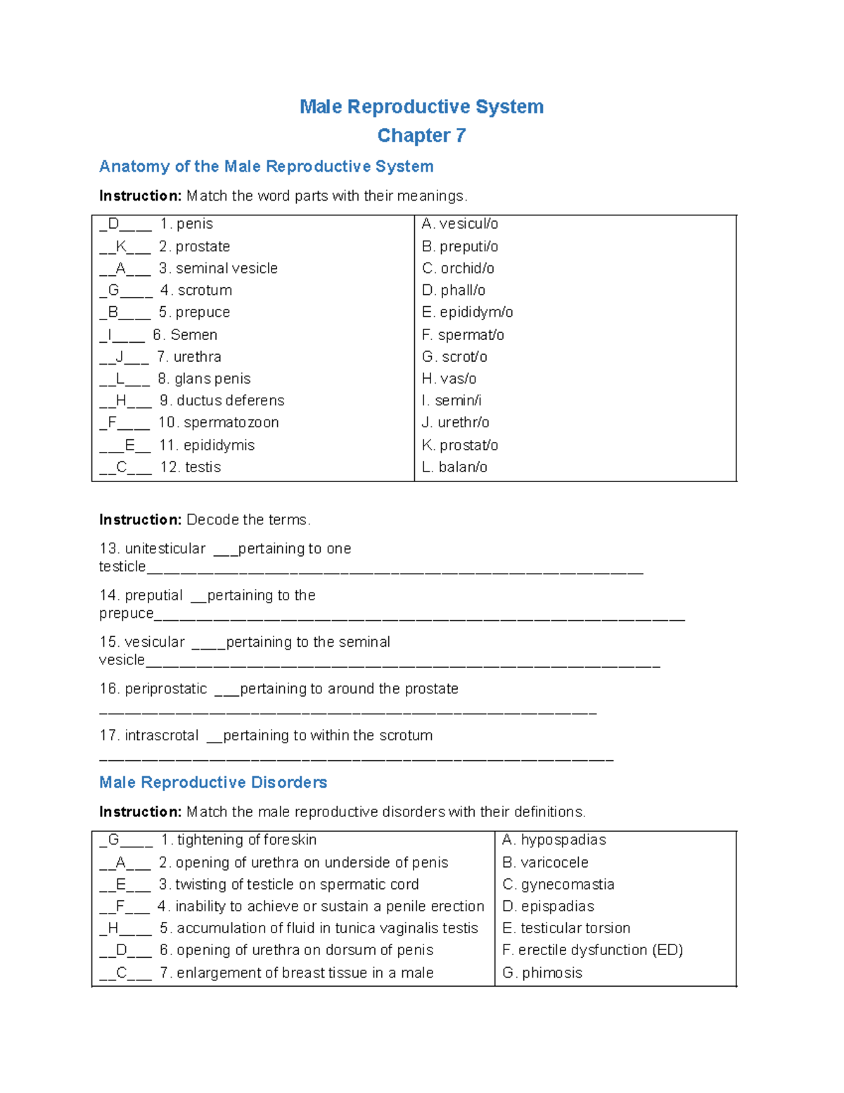AHP105 Wk6 Assignment- ja - Male Reproductive System Chapter 7 Anatomy ...