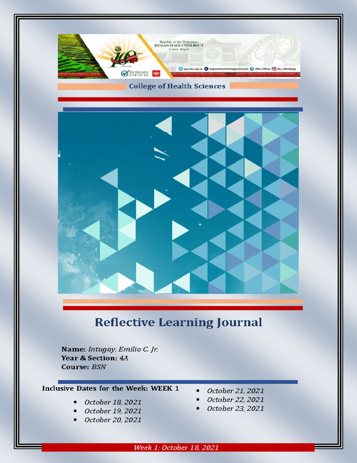 Example- Reflective Journal - College of Health Sciences Reflective ...