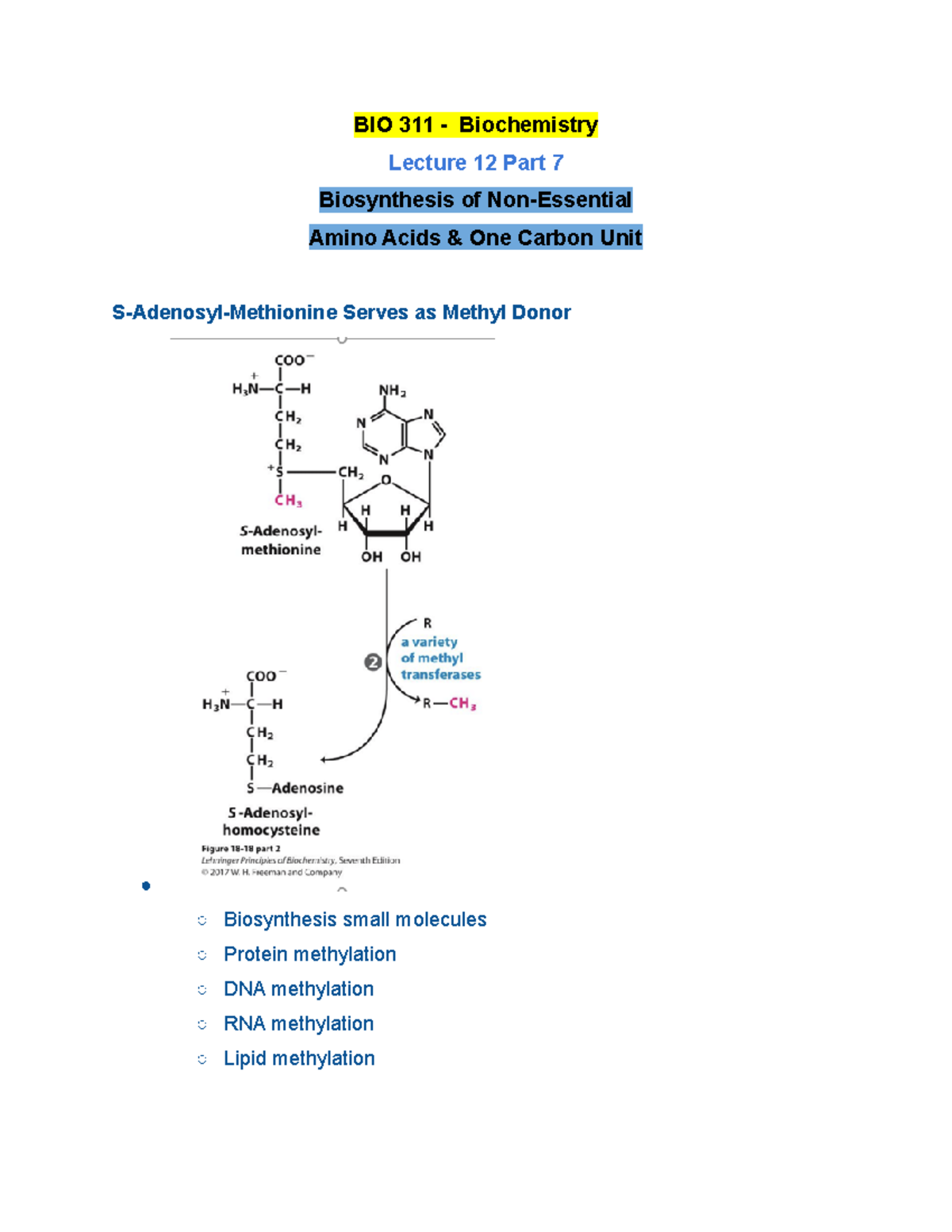 BIO 311 Lecture 12 Part 7 Fall 2020 - BIO 311 - Biochemistry Lecture 12 ... BIO 311 Lecture 12 Part 7 Fall 2020 - BIO 311 - Biochemistry Lecture 12 ...