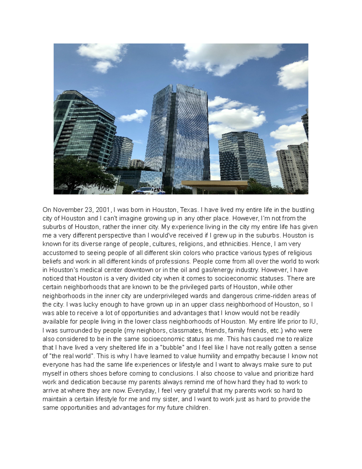 Sociological Memoir - On November 23, 2001, I was born in Houston ...