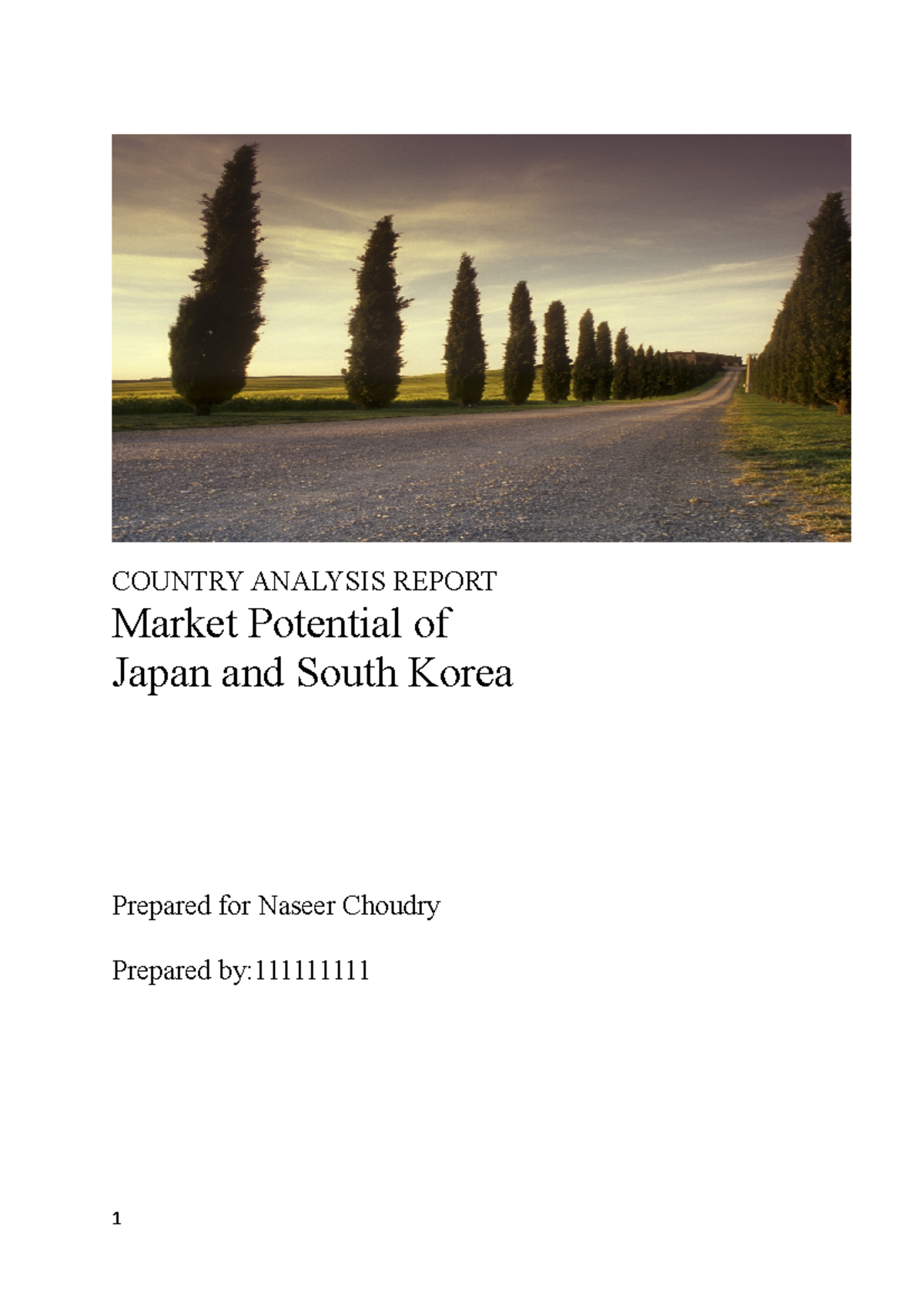 Country Analysis Report - COUNTRY ANALYSIS REPORT Market Potential of ...