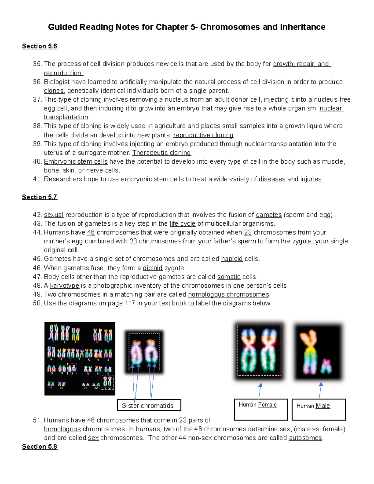 CH 5 Notes Sections 5 - Homework questions - Guided Reading Notes for ...
