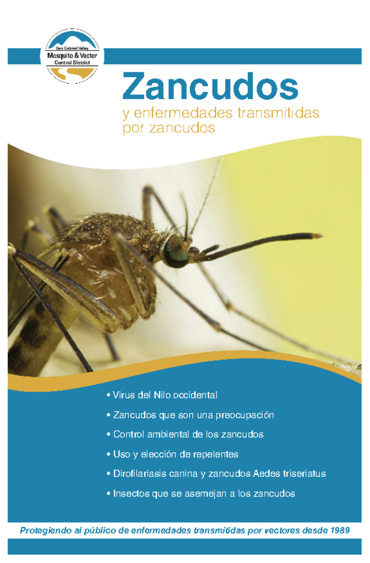MOSQUITOS BLUE DEL DENGUE EN ESPAÑOL E INGLES - Zancudos y enfermedades ...