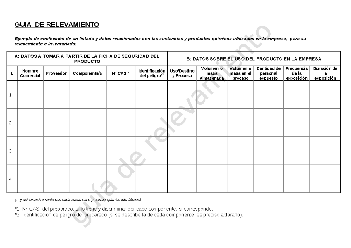 Guia de relevamiento(1) 0 - GUIA DE RELEVAMIENTO Ejemplo de confección ...