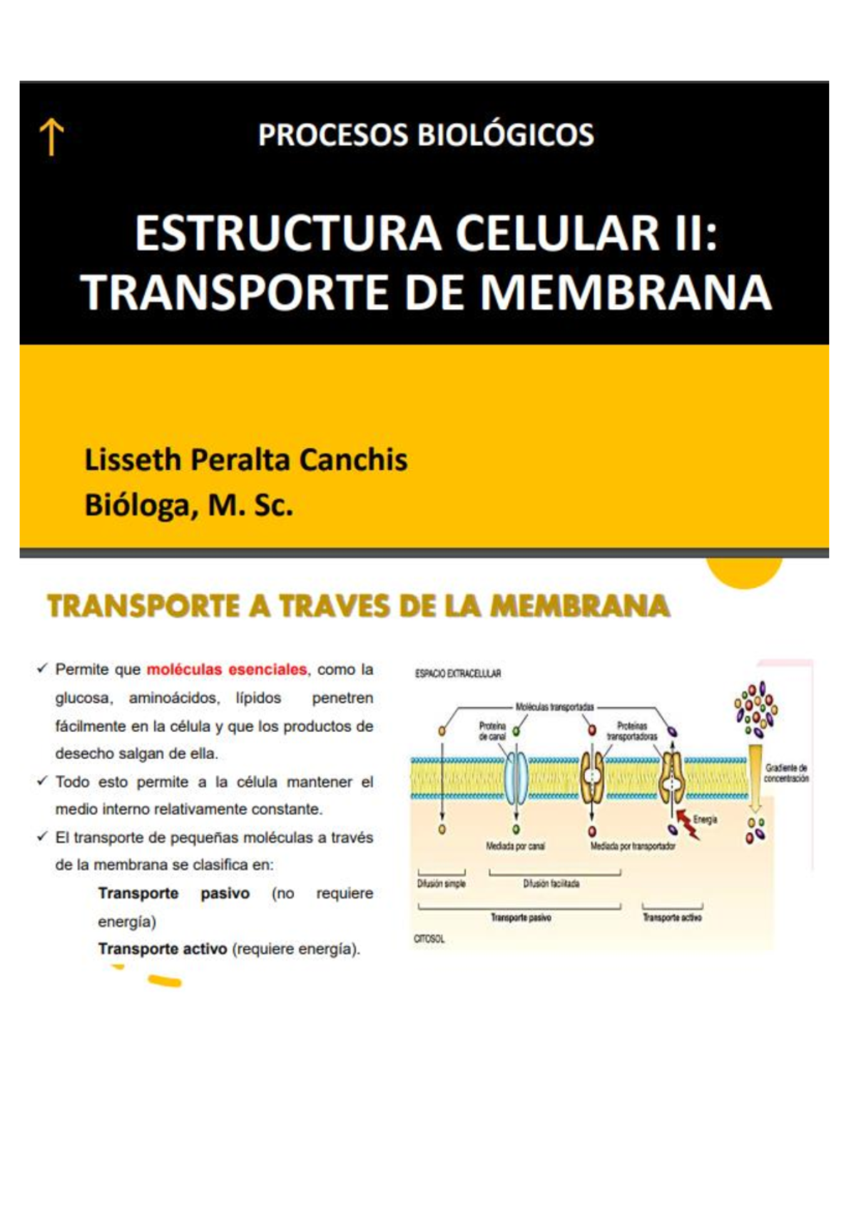 Ppt secion 7 biologia - ppt de la semana 7 de procesos biologicos 1er ...