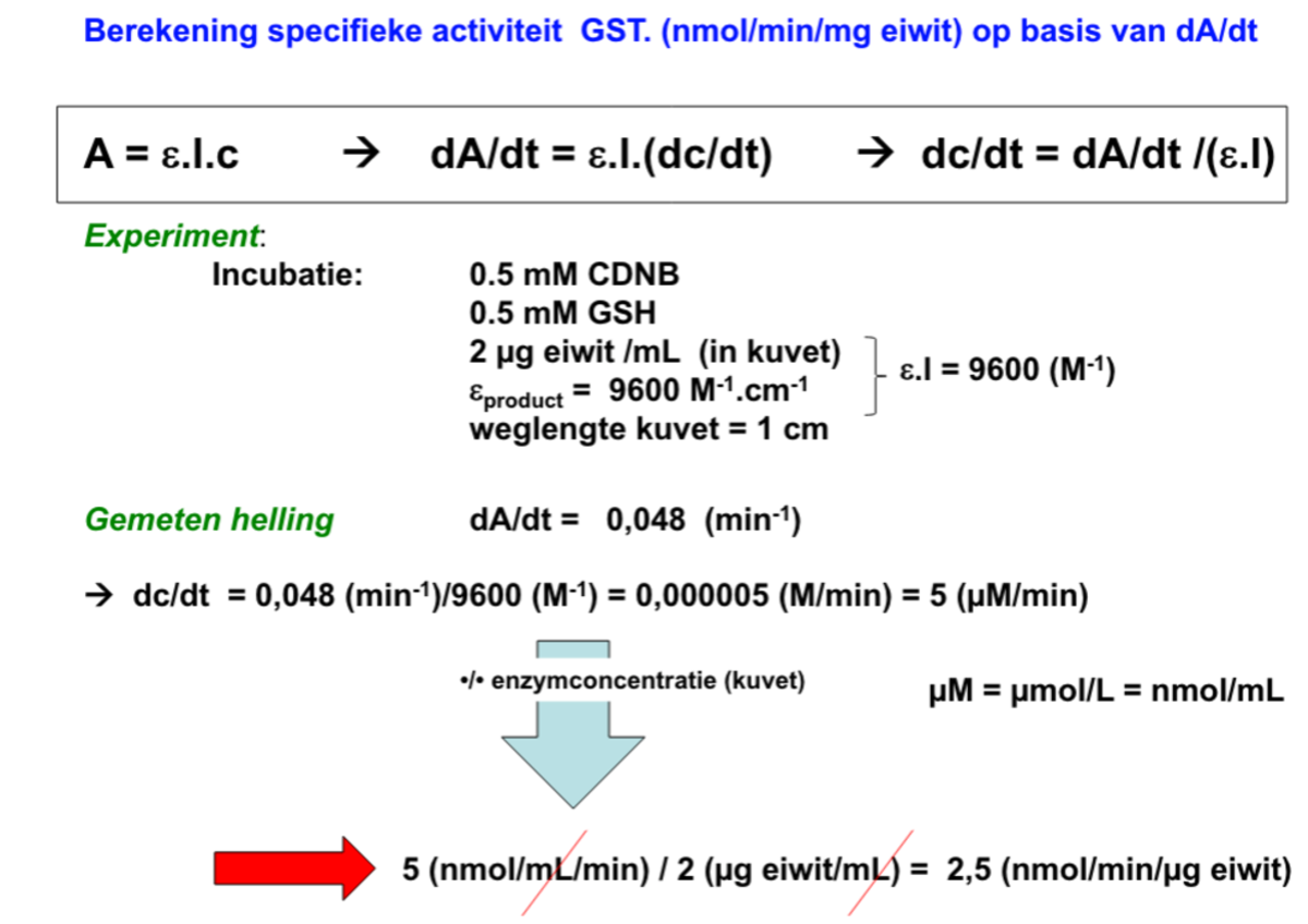 Voorbeeld Berekening Activiteit GST - Berekening specifieke activiteit ...
