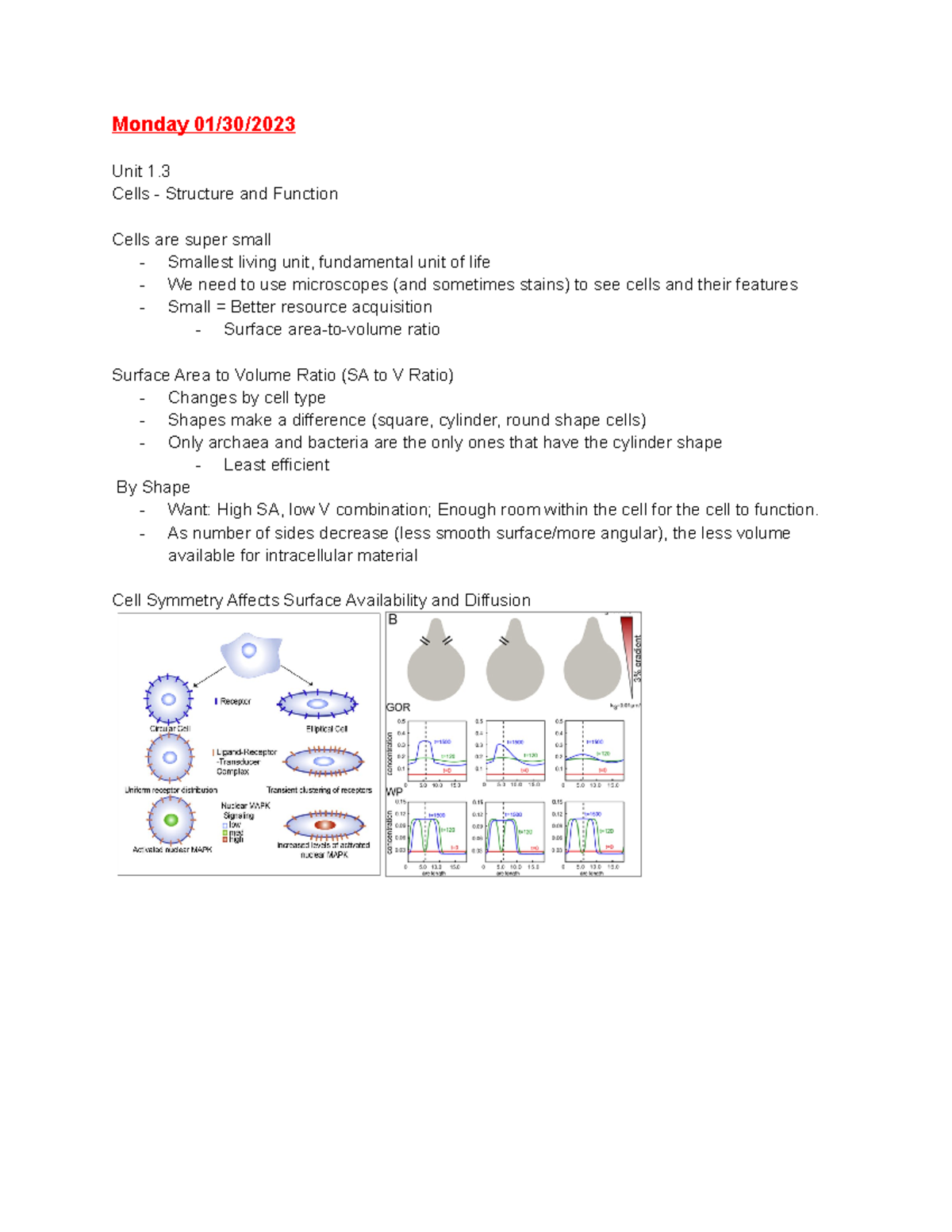 Week 2 - Biology - Monday 01/30/ Unit 1. Cells - Structure and Function ...