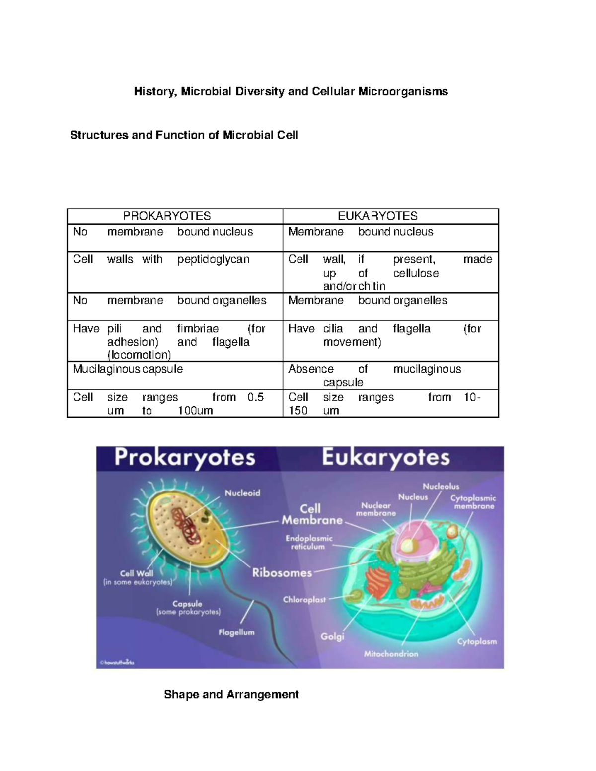 Cellular Microorganism, Structures and Function of Microbial Cell ...