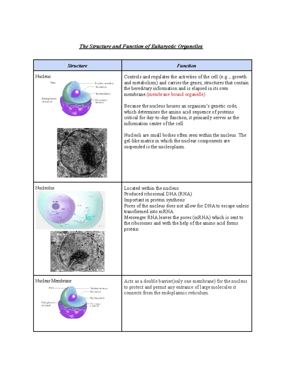 Module one Structure and Function of Eukaryotic cells - The Structure ...