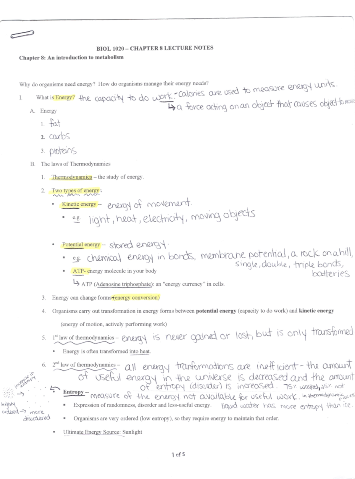 Chapter 8 Notes - biol 1020 - BIOL 1020 - Studocu