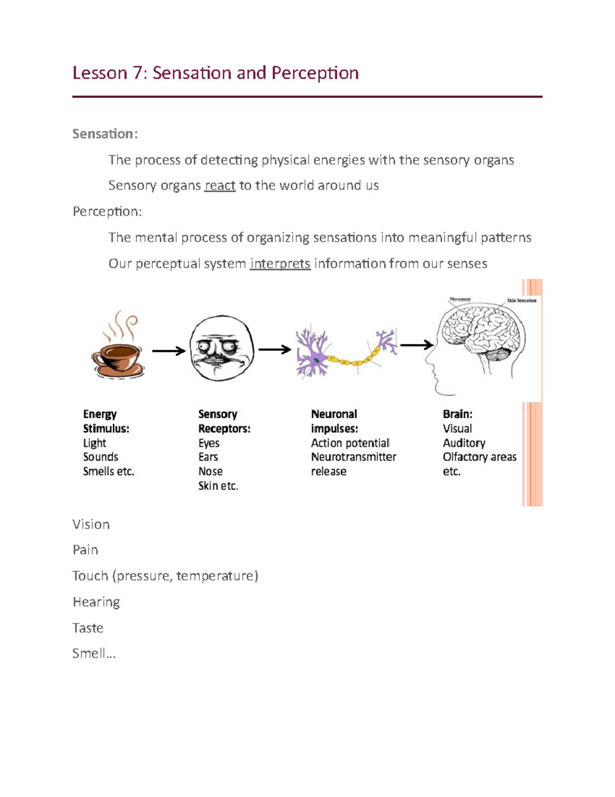 Lesson 7 - Notes - Lesson 7: Sensation and Perception Sensation: The ...