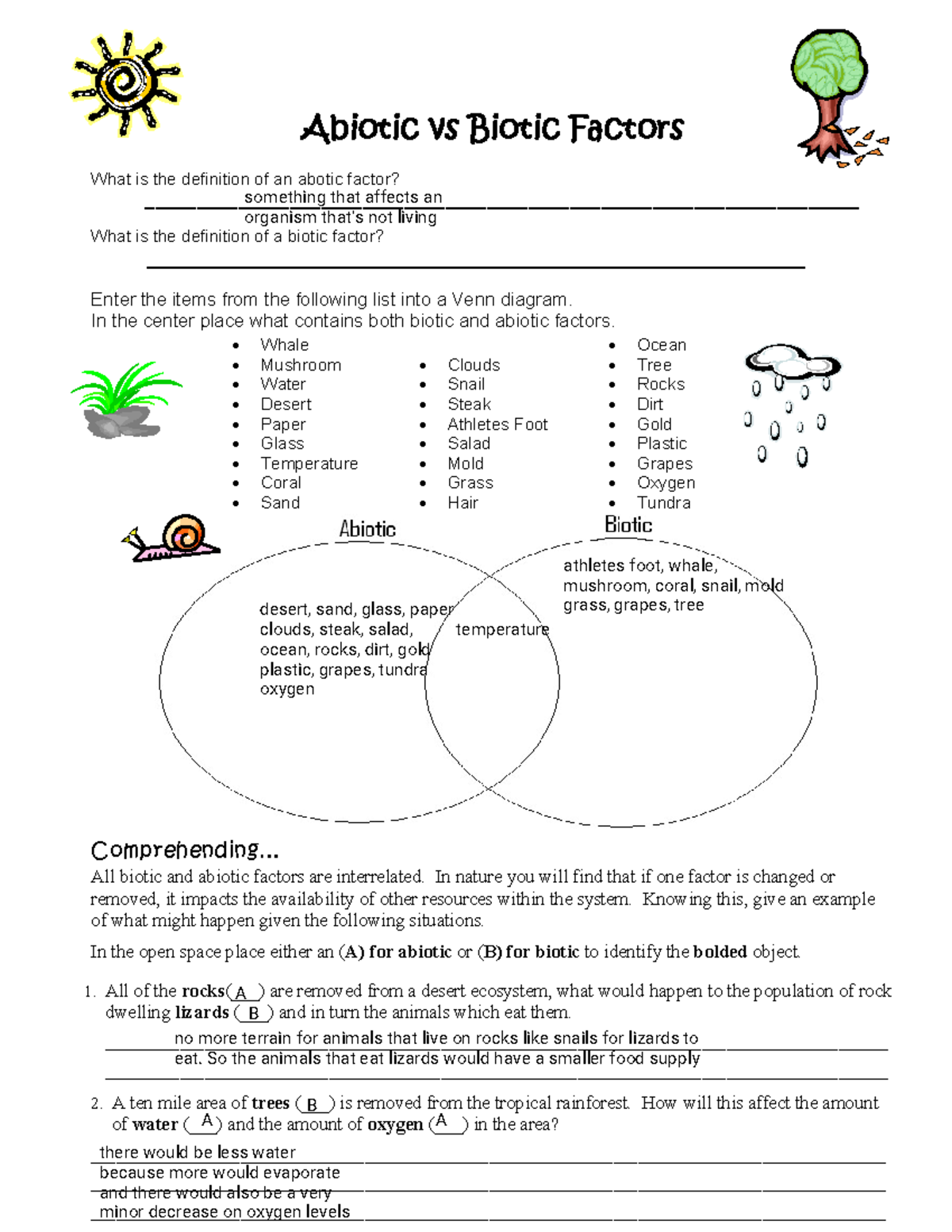 Abiotic vs Biotic - efwewffwe - Abiotic vs Biotic Factors What is the ...