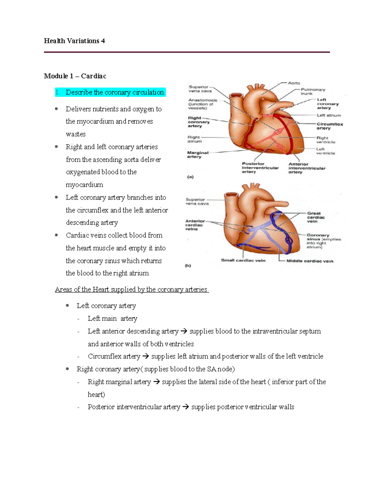 Health Variations 5 - notes to help - Health Variations 4 Module 1 ...