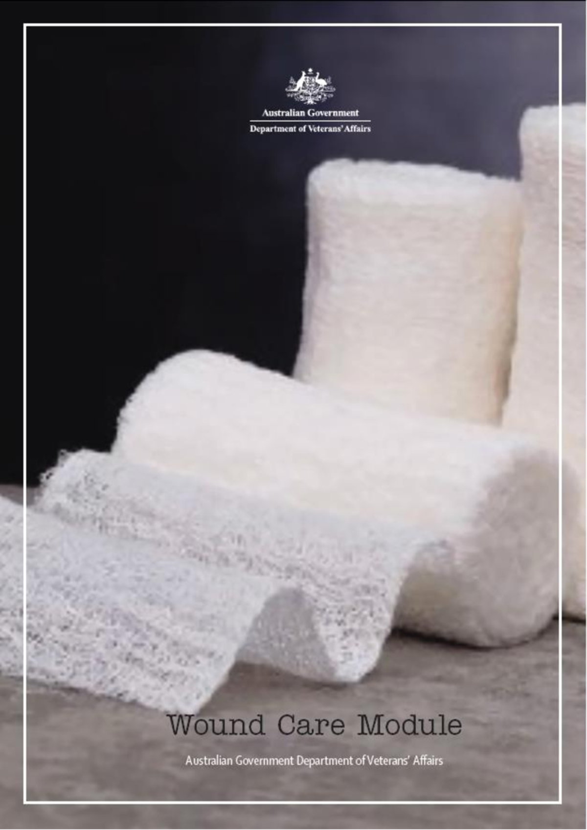 Wound Care Module module booklet for students - i i DVA Wound Care ...