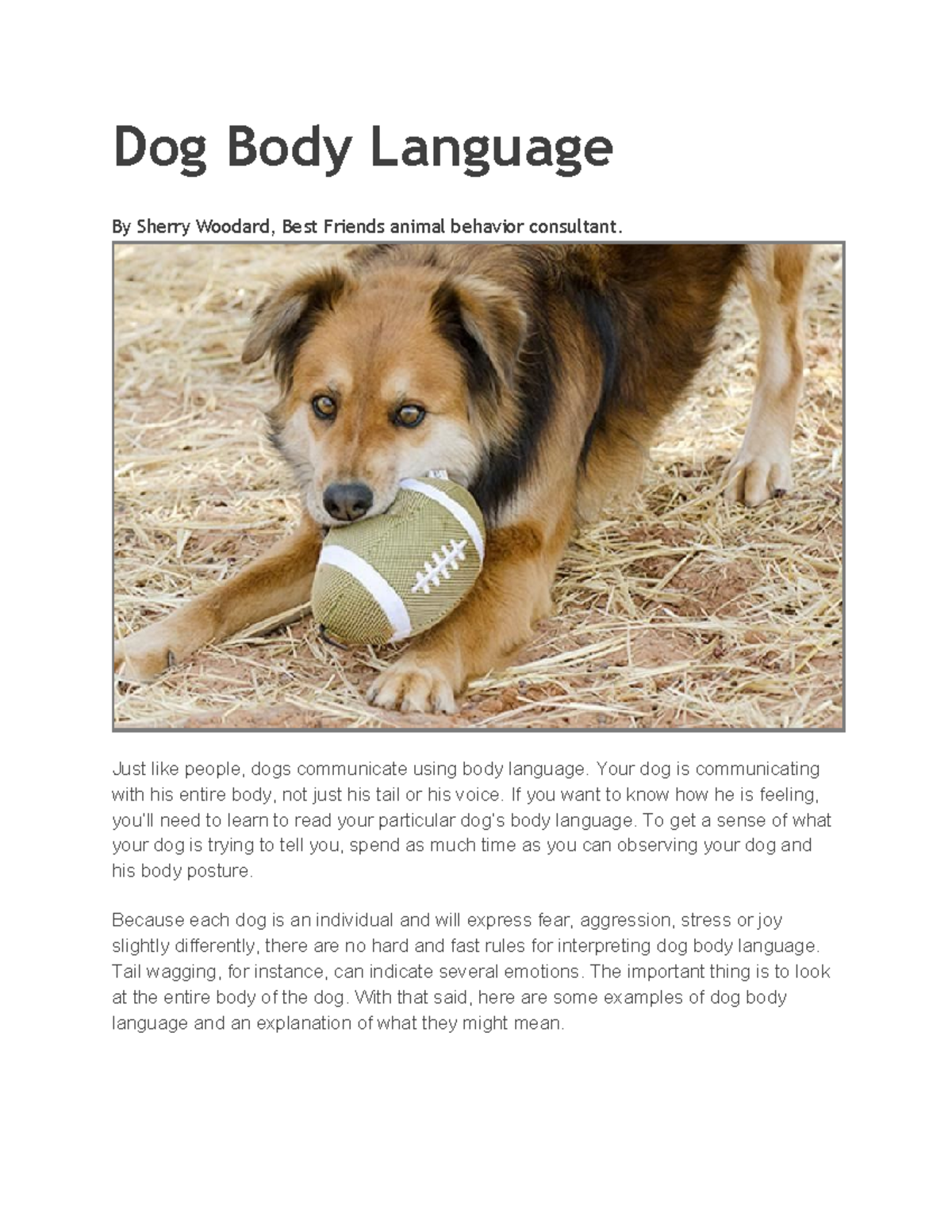 Dog Body Language Body Language Of Dogs Anatomy And Physiology 1