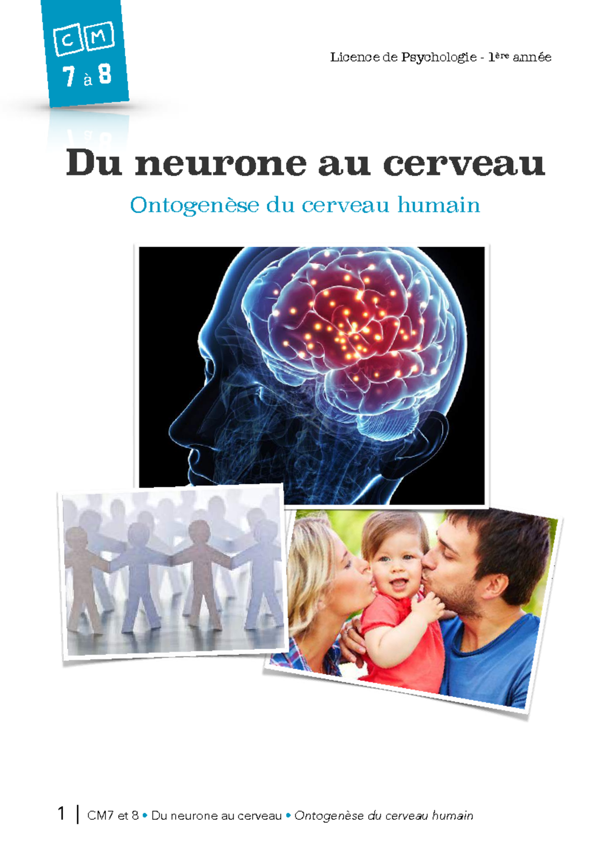 Ontogenèse du cerveau humain - Du neurone au cerveau Ontogenèse du ...