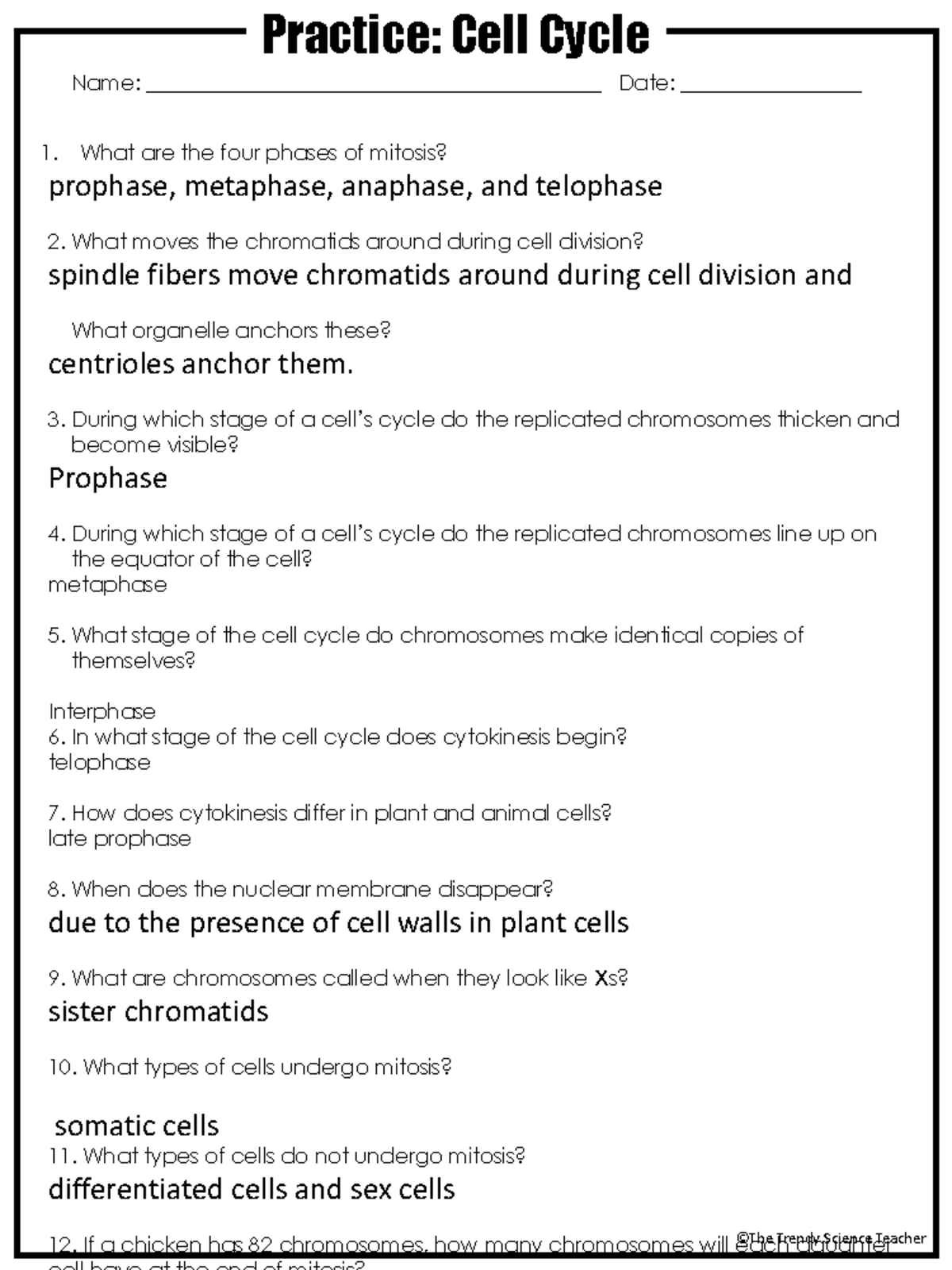 Practice- Cell Cycle wrk sheet oneal - ©The Trendy Science Teacher ...