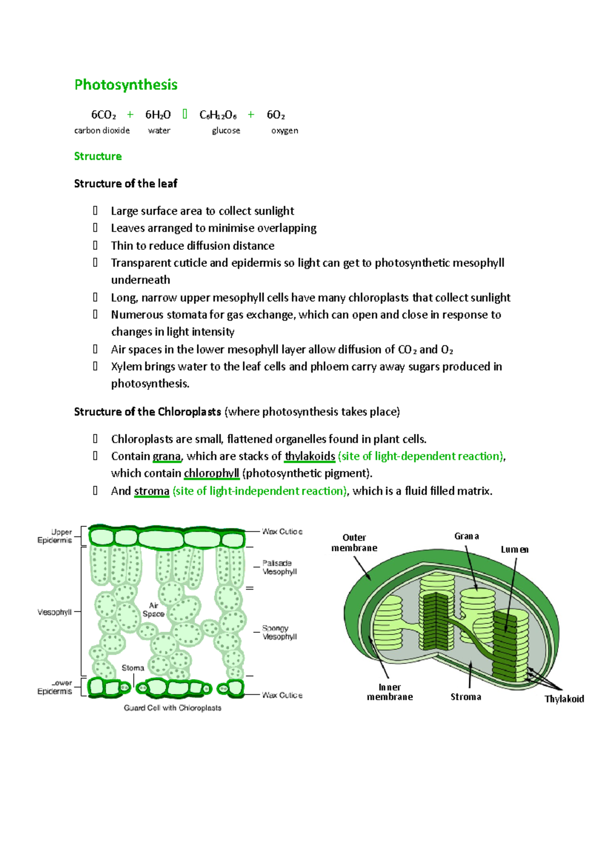 Photosynthesis - LECTURE NOTES - Photosynthesis 6CO 2 + 6H 2 O C 6 H 12 ...