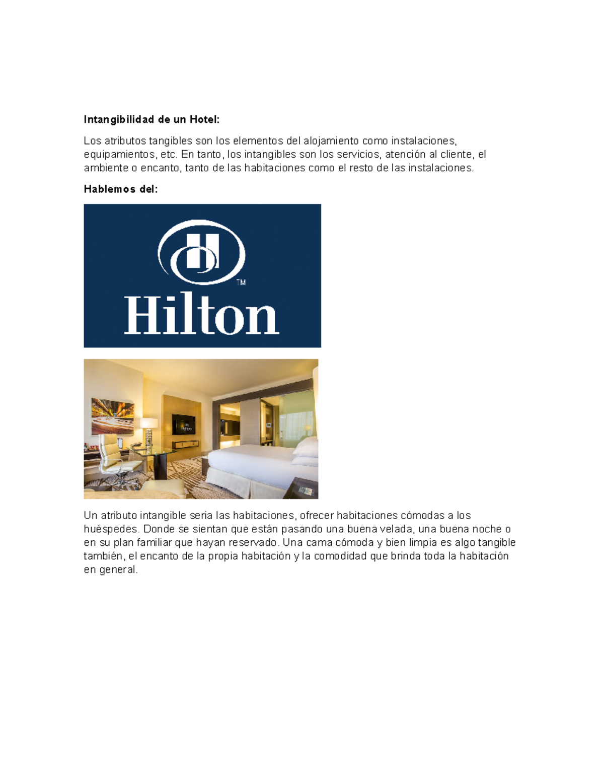 Intangibilidad de un Hotel - En tanto, los intangibles son los ...