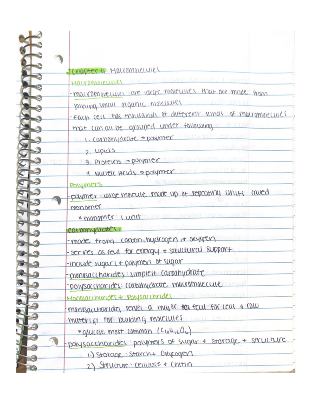 Biology- Chapter 4 - Contains vocabulary and other information about ...