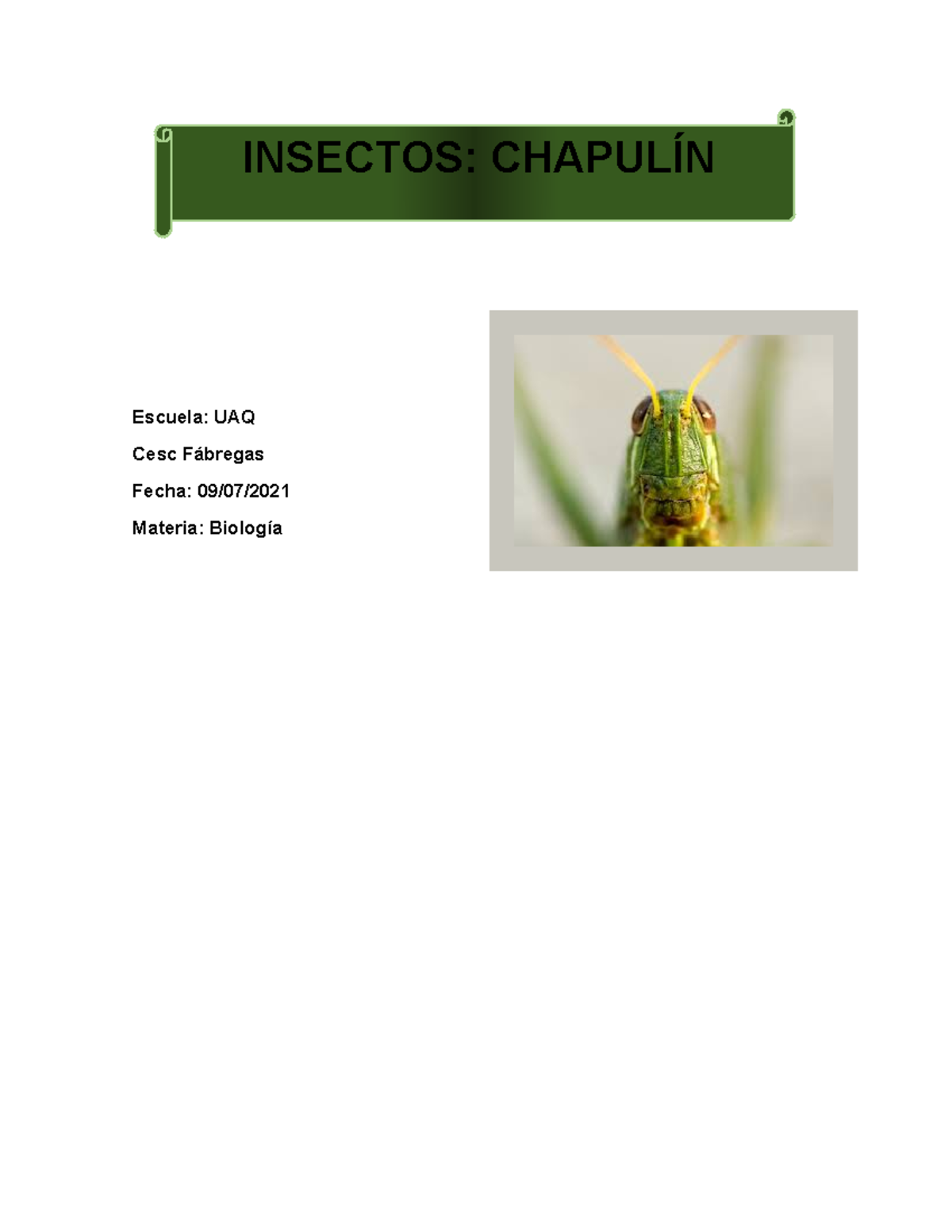 Insectos: Todo sobre el chapulin - Escuela: UAQ Cesc Fábregas Fecha: 09 ...