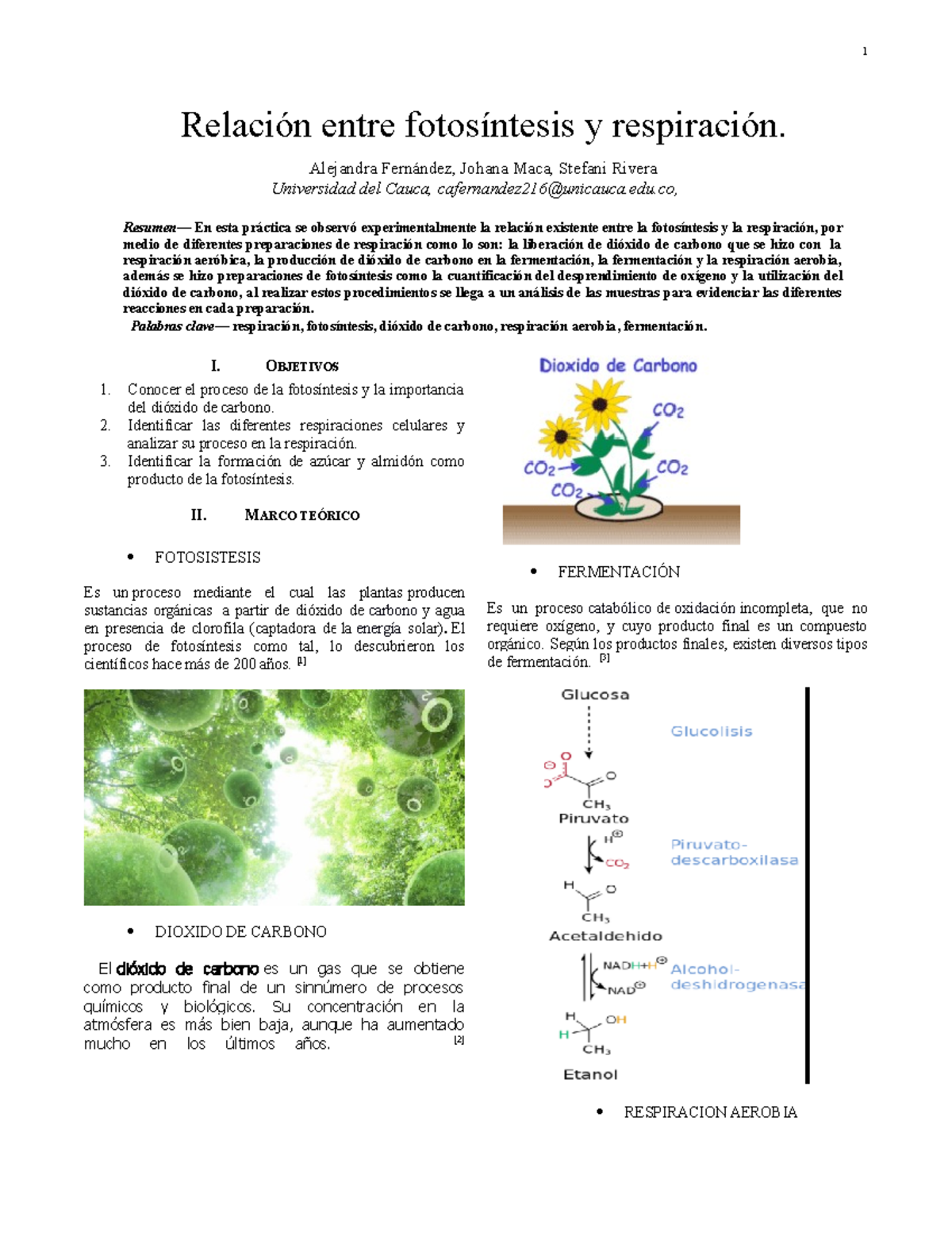 Practica 6. relacion entre fotosintesis y respiracion - I. OBJETIVOS ...
