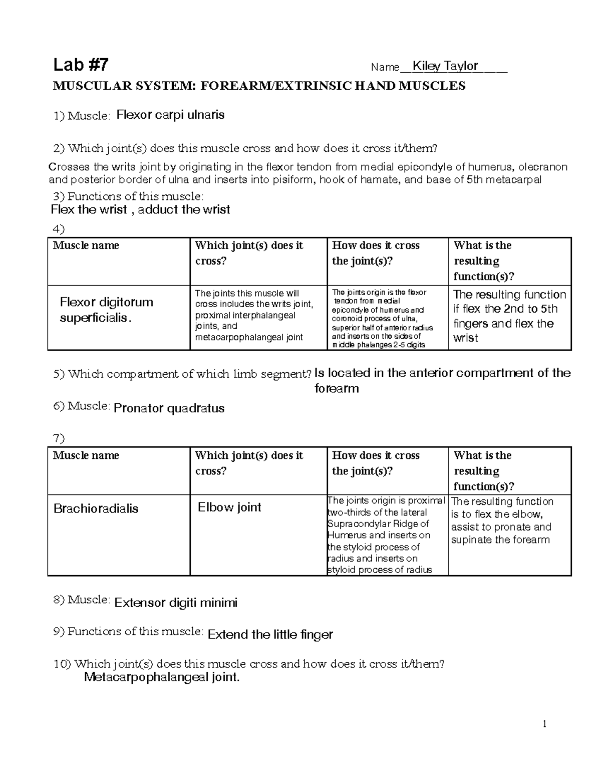 Lab7a Forearm and hand muscles - Lab #7 Name__________________ MUSCULAR ...
