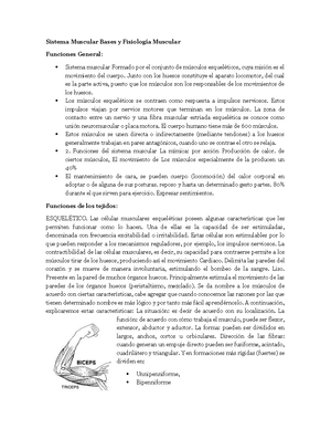 Locomoción vía directa e indirecta - Ganglios basales 74 Ganglios ...