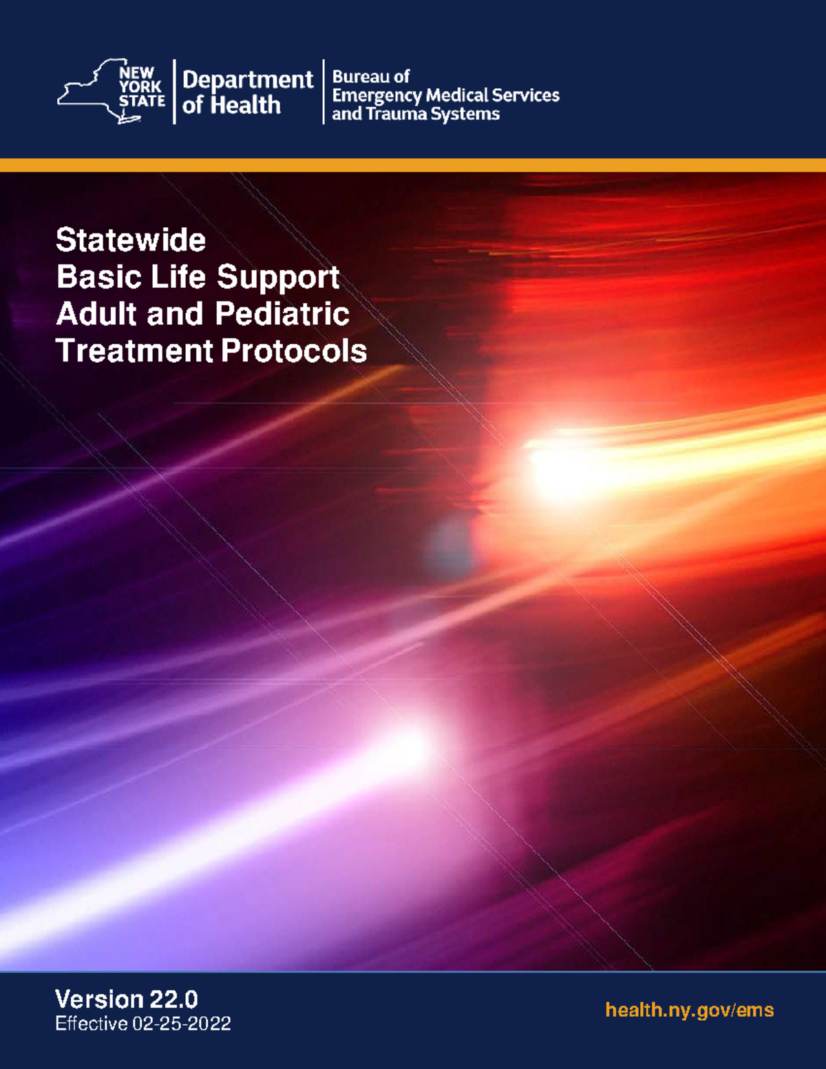 Bls protocols - adfasdfasdf - Statewide Basic Life Support Adult and Pediatric Treatment ...