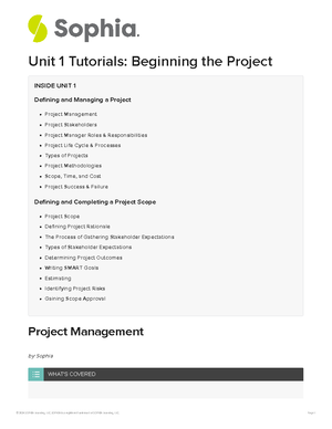 Sophia Project Mgmt Milestone 3 - 1 CONCEPT → Individual and Team ...