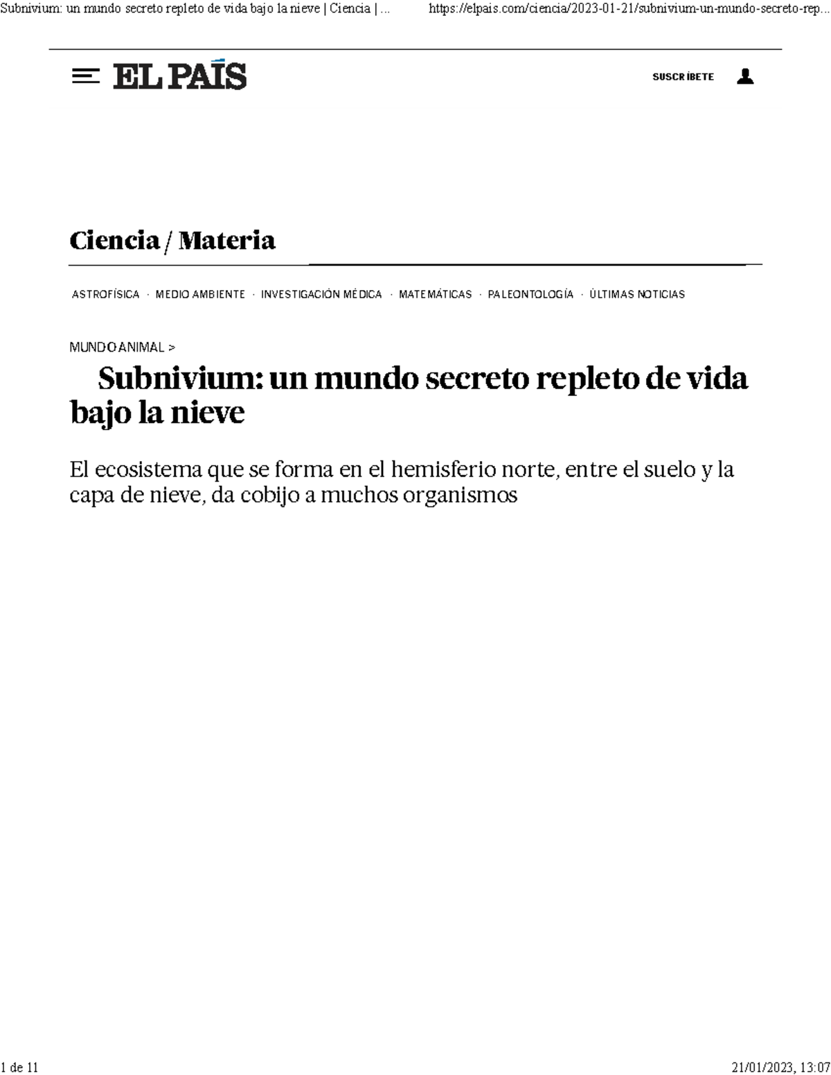 Subnivium un mundo secreto repleto de vida bajo la nieve Ciencia EL ...