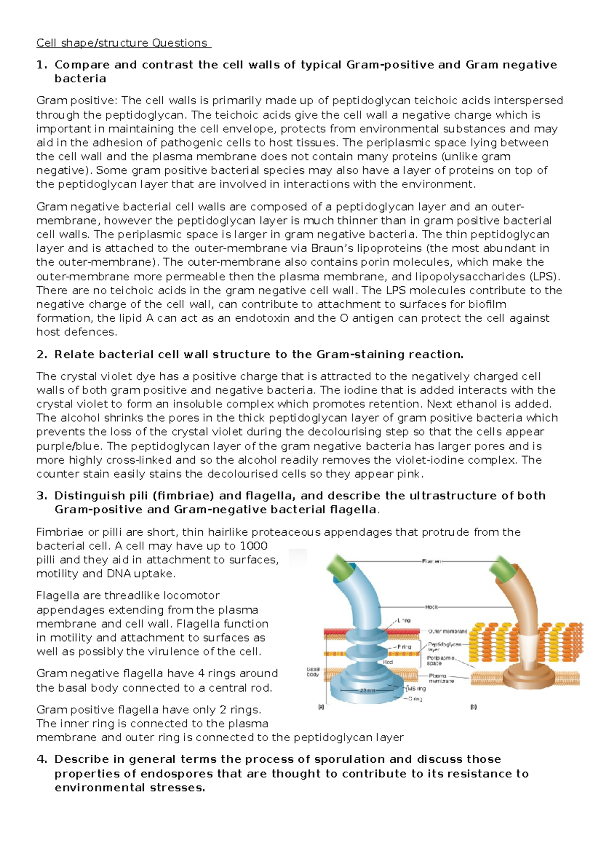 Practical - Practice Questions - Cell shape/structure Questions Compare ...